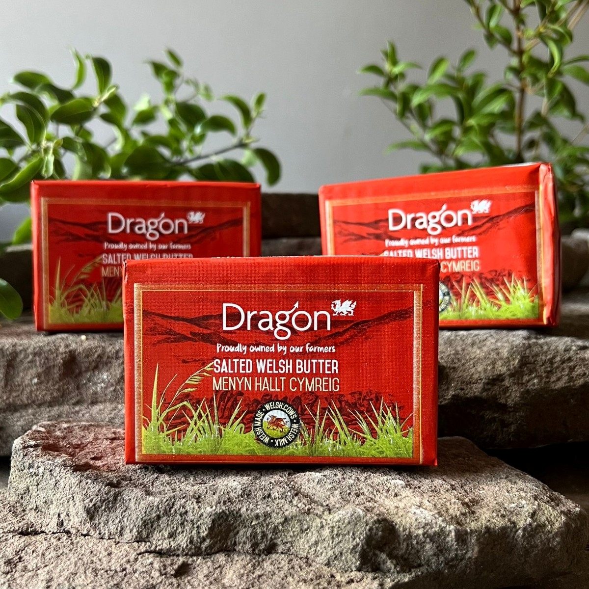 Welsh Dragon Salted Butter, Welsh Dairy Buy Online