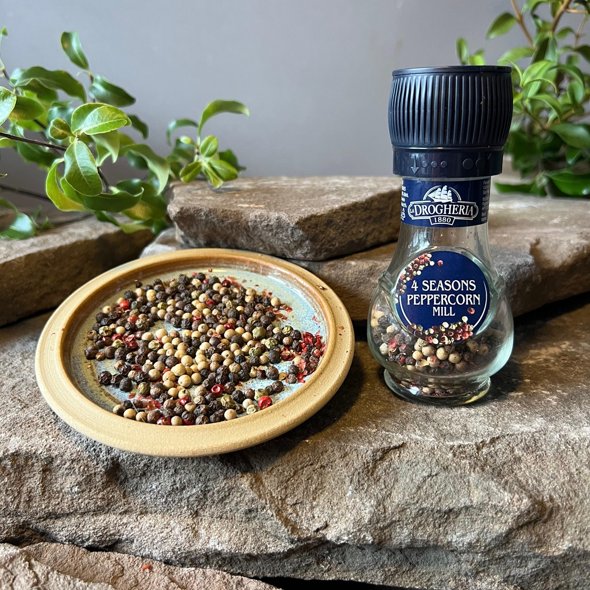 Mixed Colour Peppercorn Mill